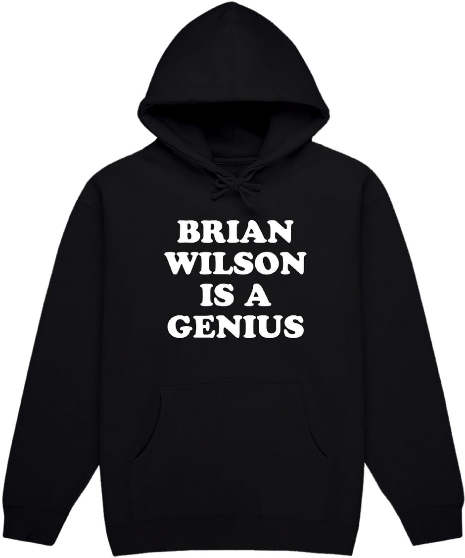 Brian Wilson Store