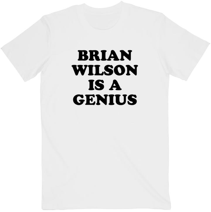 Brian Wilson Store